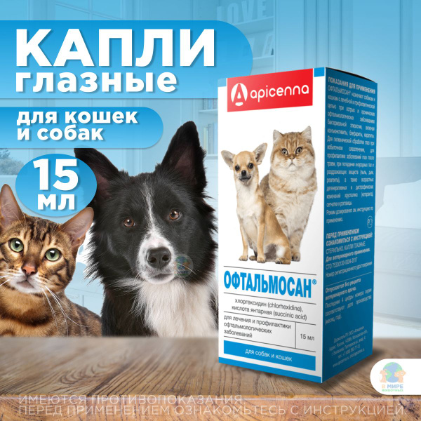 Глазные капли Офтальмосан Apicenna для кошек и собак, 15 мл ...