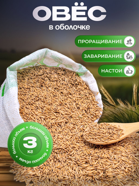 Овес для заваривания 3 кг - купить с доставкой по выгодным ценам в ...