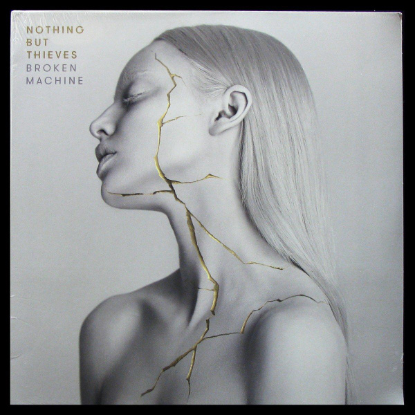 LP Nothing But Thieves - Broken Machine (винил) (301012) - купить с доставкой по выгодным ценам ...