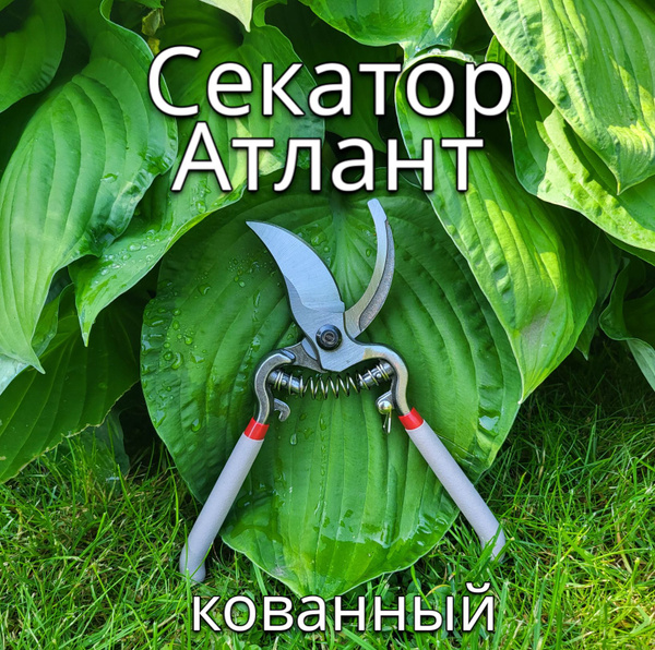 Секатор Инструм-Агро Атлант_серый_серый металлик_20 - купить по ...