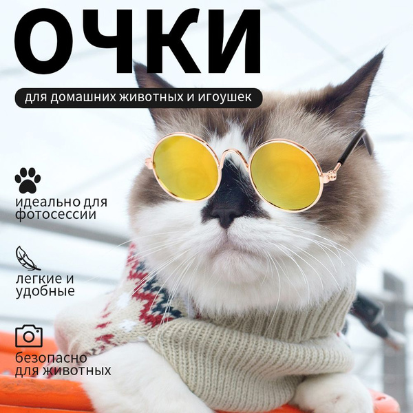 Солнцезащитные очки для кошек - купить с доставкой по выгодным ценам в ...