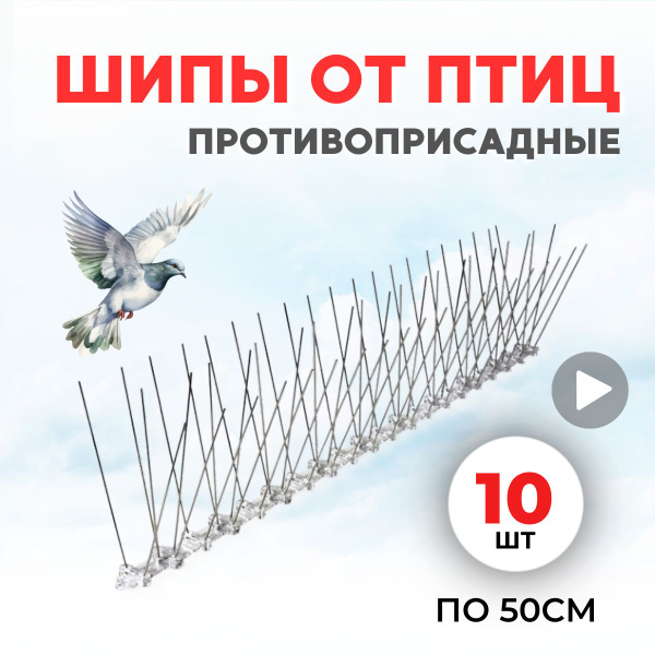 Шипы от птиц (10 шт), Противоприсадные шипы от птиц - купить с ...