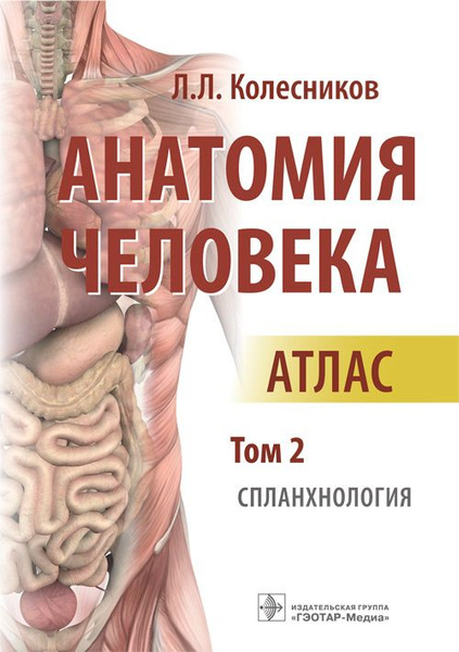 Книга Анатомия человека. Том 2. Спланхнология. Строение внутренних ...