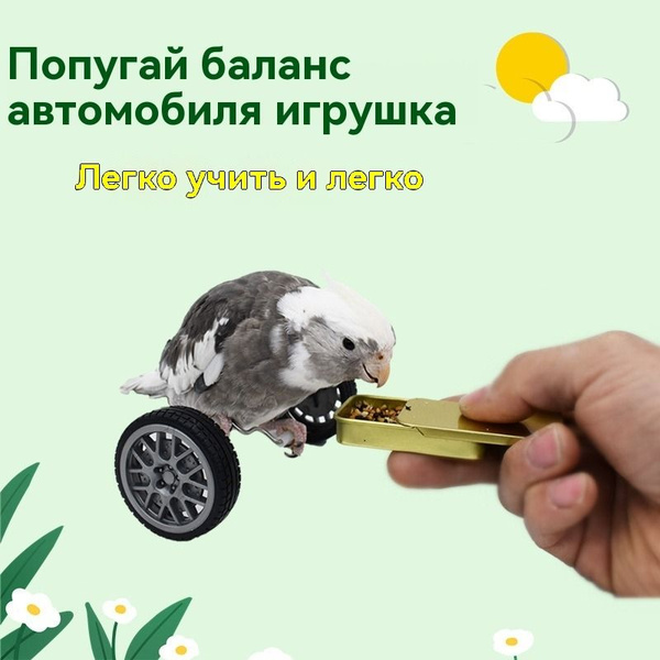 Развивающая игрушка-велосипед Bird balance bike - купить с доставкой по ...