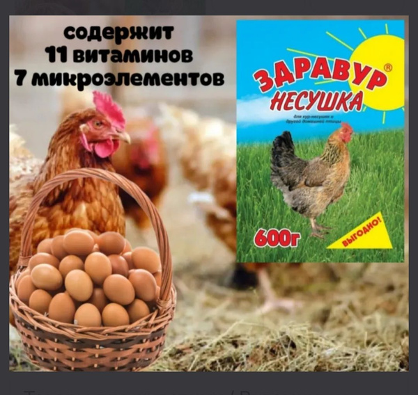 Здравур Несушка 600гр для кур- несушек и др. домашней птицы - купить с ...