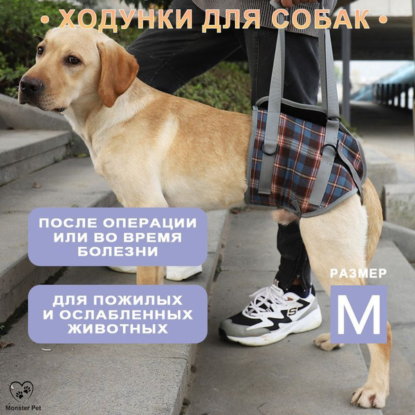 Ходунки для собак. Задняя часть, размер M. купить на OZON по низкой ...