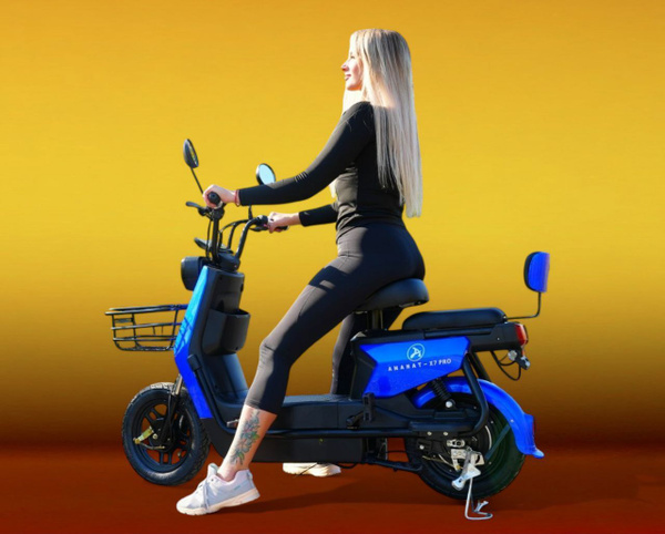 Электроскутер Tank YW-7777-X7 ABS 700 Вт, Колёса 14", синий купить на OZON по низкой цене ...