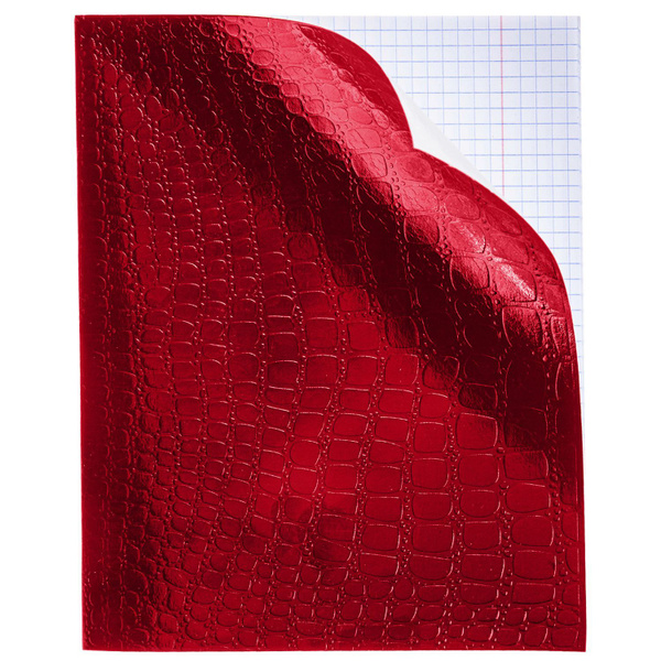 Тетрадь Hatber 5 штук, 48 листов А5 клетка на скобе, обложка бумвинил METALLIC тиснение CROCO ...