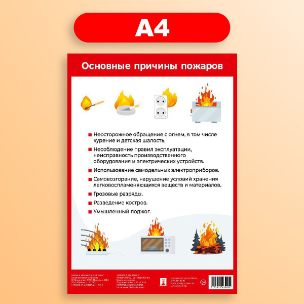 Основные причины пожаров Плакат Пожарная безопасность Формат А4