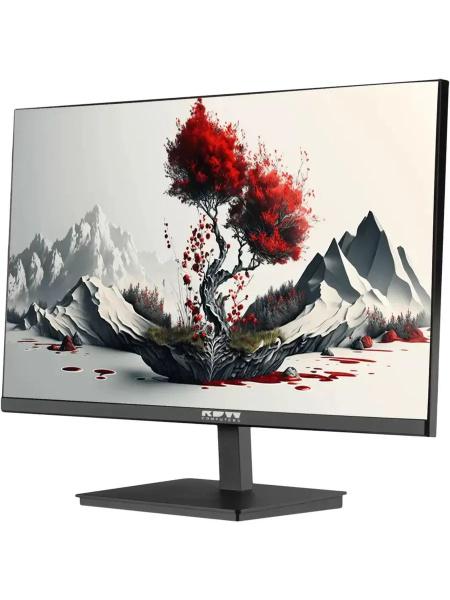 RDW Computers 23.8" Монитор RDW2401K, черный купить на OZON по низкой ...