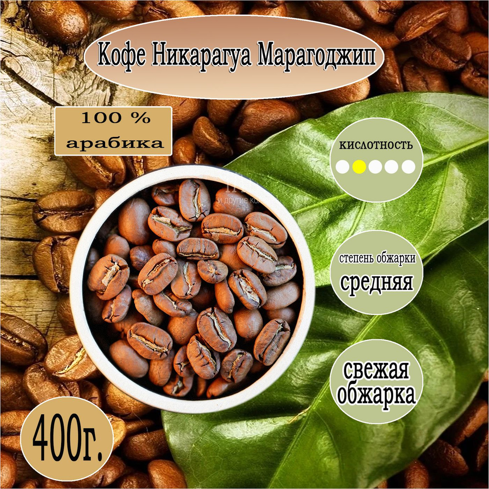 Кофе Арабика Никарагуа Марагоджип в зернах 400 гр - купить с доставкой ...