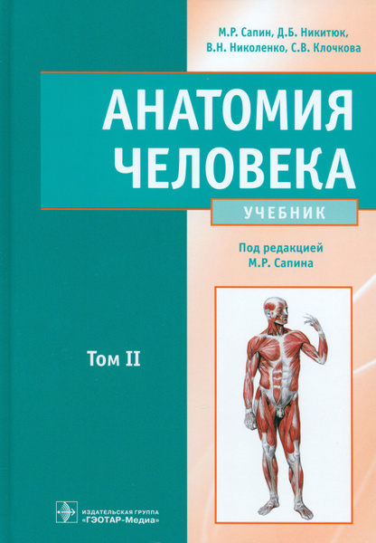 Анатомия человека. Учебник. В 2-х томах. Том 2 | Сапин Михаил Романович ...