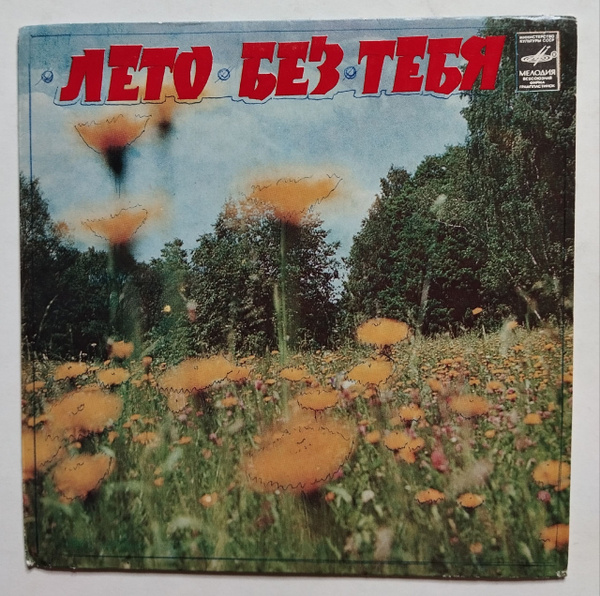 Винтажная виниловая пластинка LP Лето Без Тебя 7 дюймов (СССР 1982) купить на OZON по низкой ...