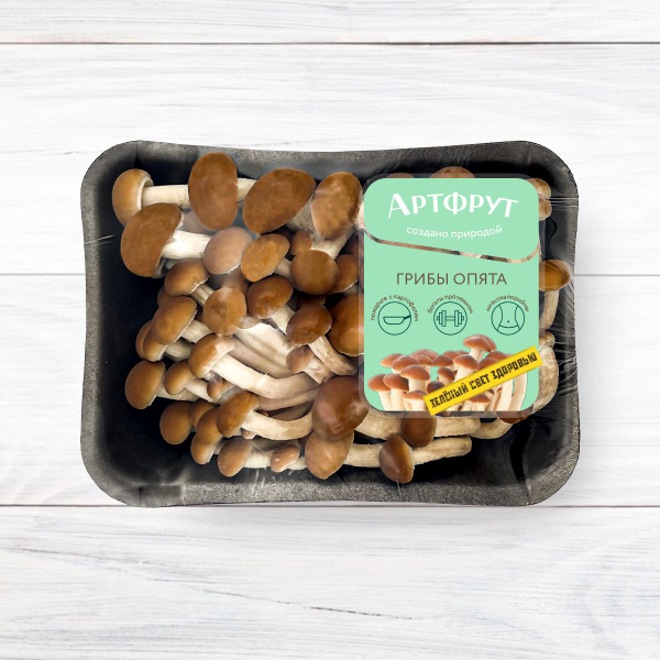 Грибы свежие Артфрут Опята, 200 г - купить с доставкой по выгодным ...