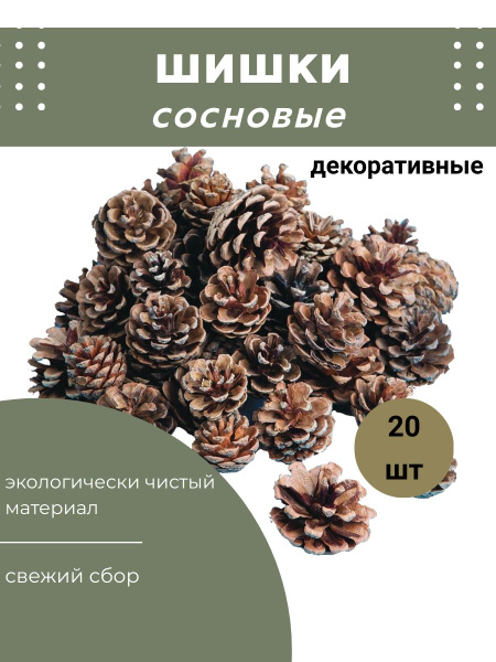 шишки сосновые для поделок и декора - купить по выгодной цене в ...