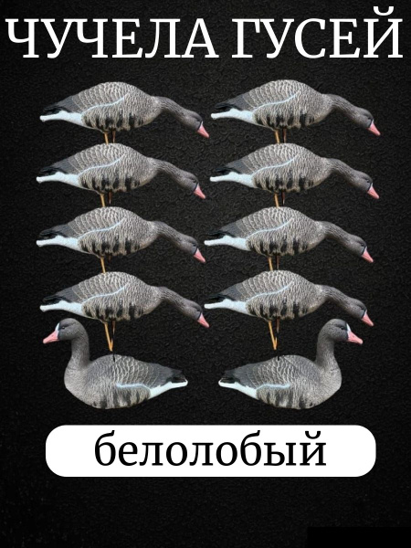 Oscar decoys Чучело - купить с доставкой по выгодным ценам в интернет ...