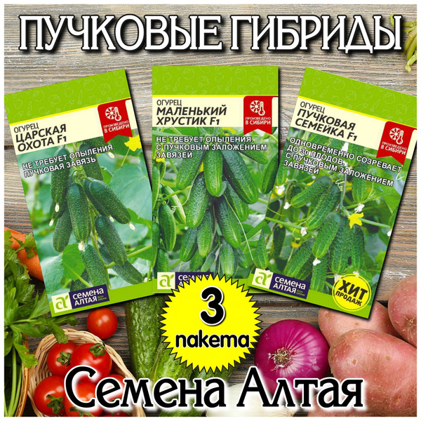 Огурцы Семена Алтая Огурец - купить по выгодным ценам в интернет ...