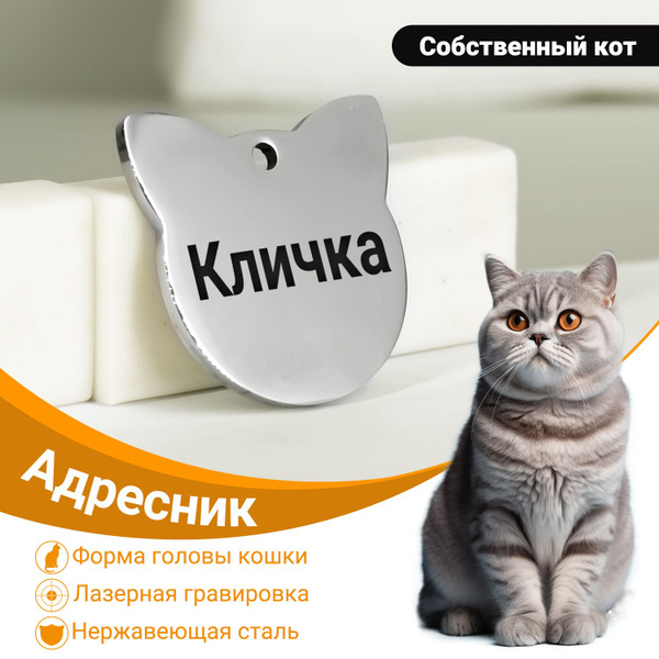 Адресник из нержавеющей стали в Кошачья голова, Подарок для кота, адрес ...
