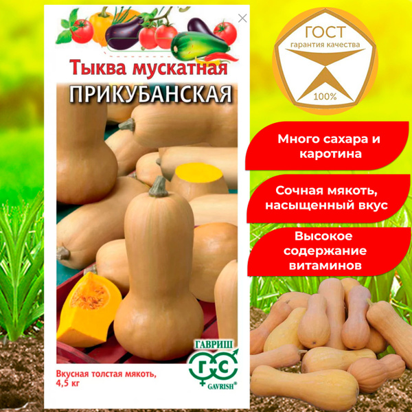 Тыквы Гавриш Тыква007 - купить по выгодным ценам в интернет-магазине ...