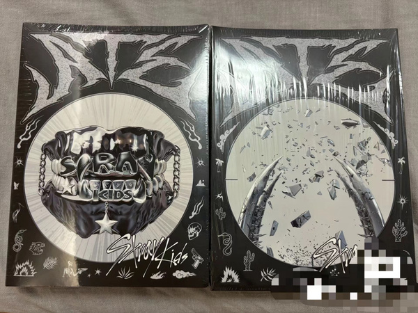 CD Альбомы Stray Kids - 9th Mini Album ATE Chk Chk Version+Boom Version ...