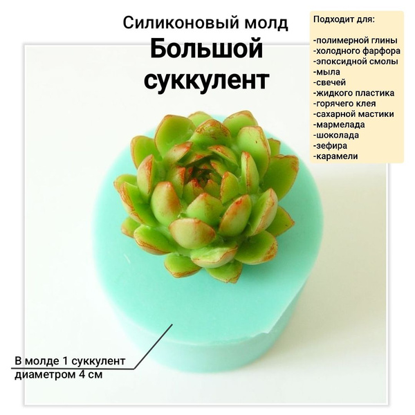 Силиконовый молд " Большой суккулент" Mozza-flowers купить на OZON по ...