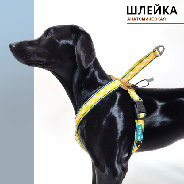 Шлейка для собак мелких, средних и крупных пород - купить с доставкой ...
