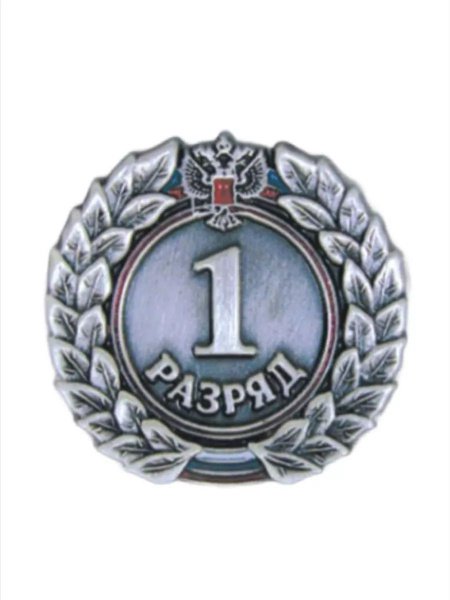 Значок Спортивный, 1-й разряд купить на OZON по низкой цене (1678757332)