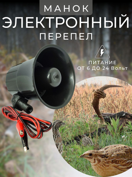 Манок электронный перепел, электроманок для охоты - купить по выгодной ...