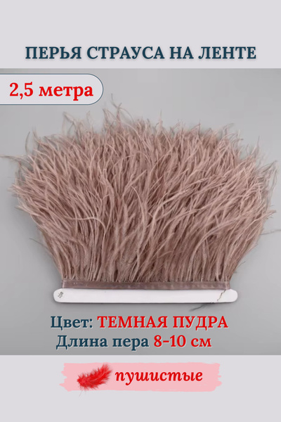 Перья страуса на ленте 2,5 м купить на OZON по низкой цене (1715275432)