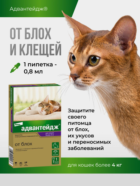 Адвантейдж для кошек более 4 кг, уп. Х 1 пип купить на OZON по низкой ...