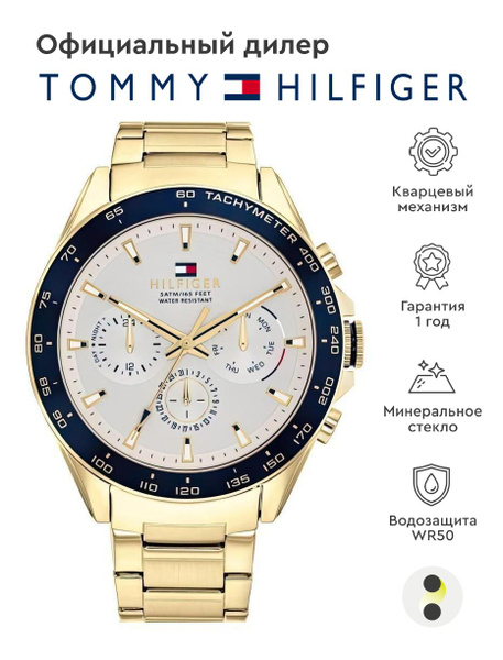 Мужские наручные часы Tommy Hilfiger Owen 1791969 купить на OZON по ...