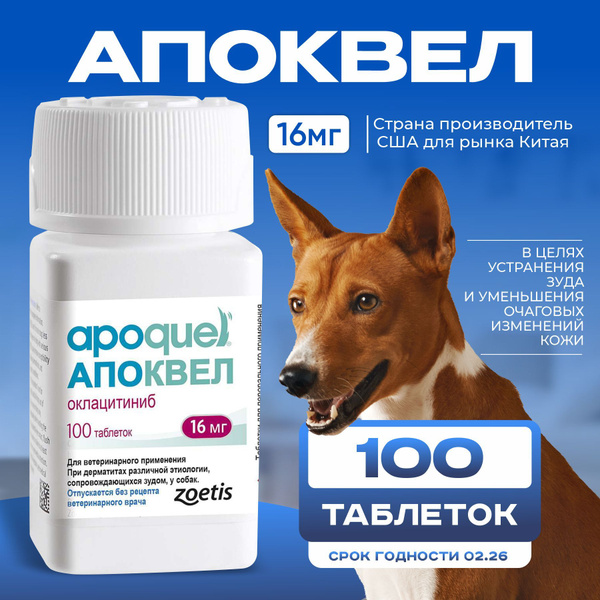 Апоквел 16мг 100 таблеток купить на OZON по низкой цене (1733411002)