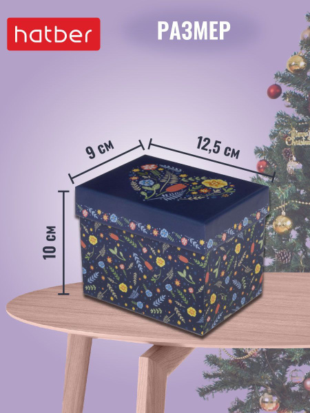 Коробка для хранения Hatber, 12.5 х 10 х 9 купить c доставкой на OZON по низкой цене (1833318409)