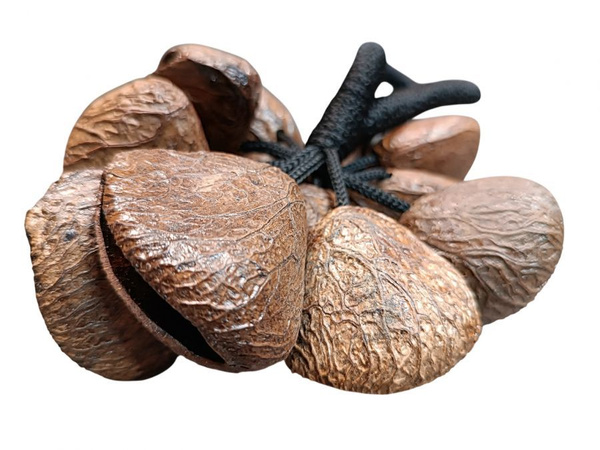 Pangi Nut Shaker - шейкер Панги купить на OZON по низкой цене (1784429050)