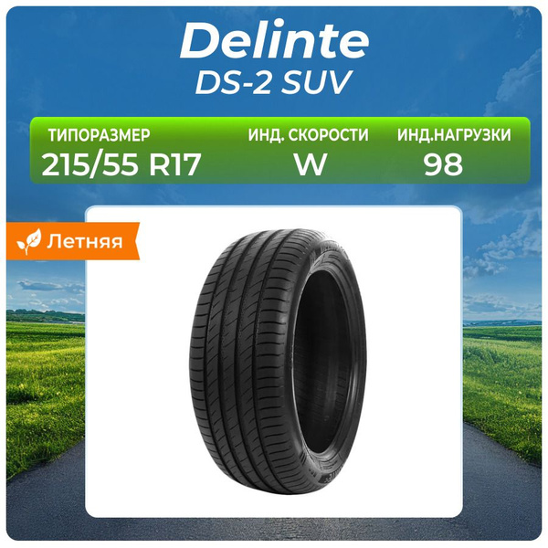 Delinte DS-2 SUV Шины летние 215/55 R17 98W (1416653747)