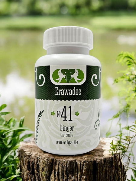 Erawadee Тайское средство в капсулах Ginger для улучшения пищеварения Ginger купить на OZON по ...
