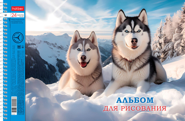 Альбом для рисования Hatber 5 шт/5 дизайнов, 24 листа, формата А4, перфорация на отрыв, на ...