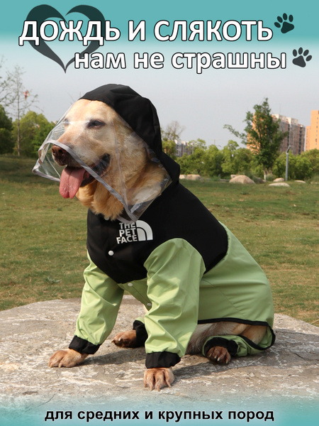 Дождевик Rexy crew "The pet Face", одежда для собак средних и крупных пород, цвет зеленый ...