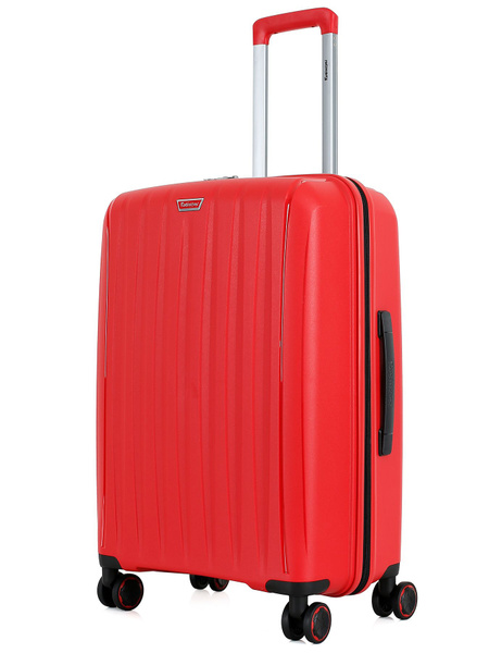 Robinzon Чемодан Полипропилен 65 см 63 л купить на OZON по низкой цене (2307665491)