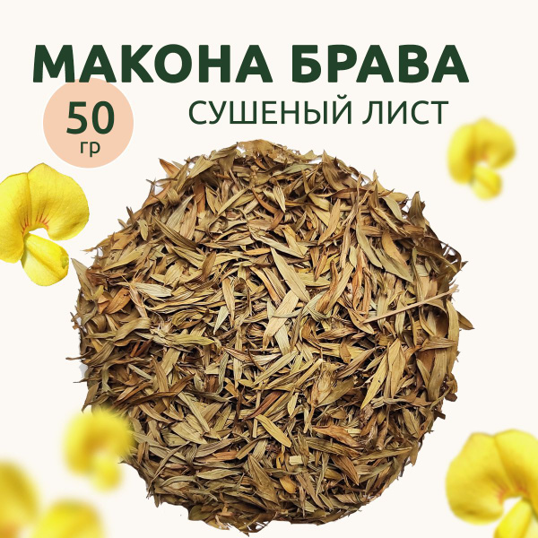 Макона брава Maconha Brava Zornia Latifolia 50 гр - купить с доставкой ...