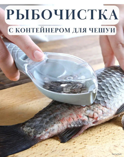 Рыбочистка, С контейнером для чешуи купить по низкой цене с доставкой в ...