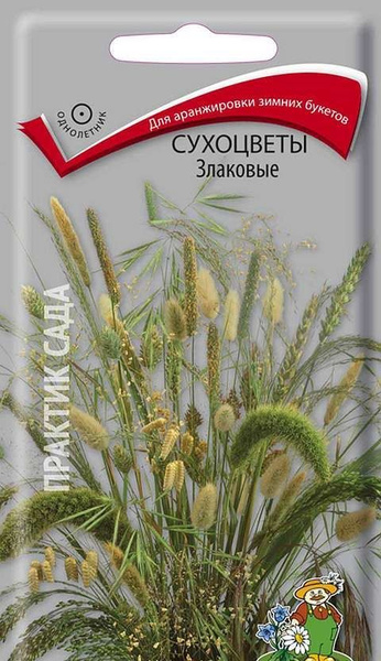 семенаЦветы_ - купить по выгодным ценам в интернет-магазине OZON ...