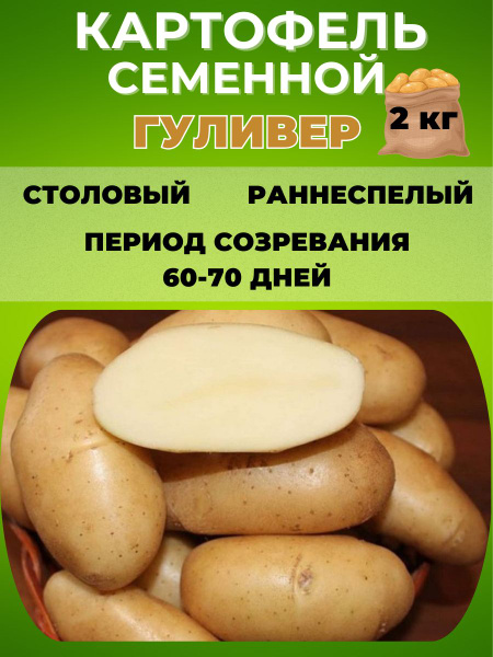 Картофель Magic Garden Картофель семенной ,клубни на посадку - купить ...
