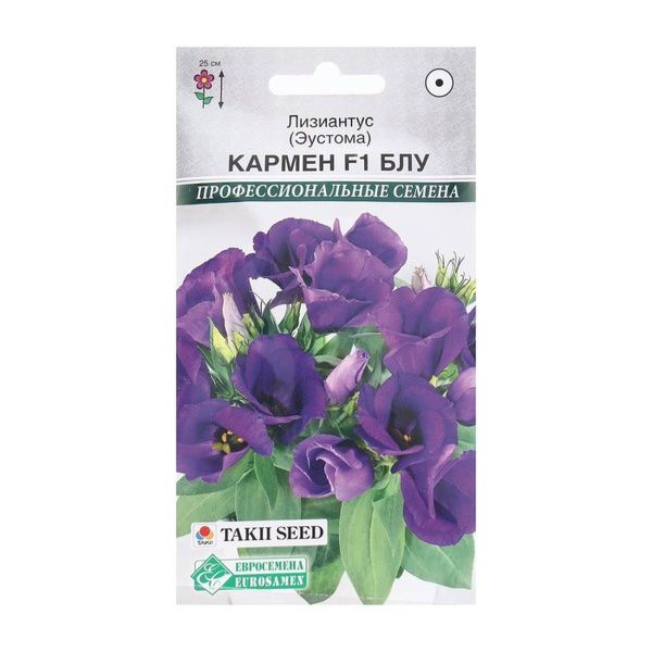 Евросемена 623981 - купить по выгодным ценам в интернет-магазине OZON ...