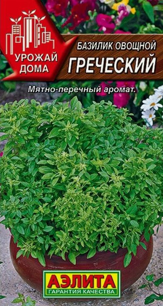 Базилик Аэлита Базилик_фиолетовый_Базилик овощной Греческий - купить по ...