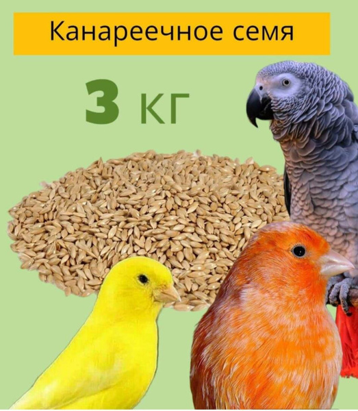 Канареечное семя для птиц 3 кг купить на OZON по низкой цене (1502762920)
