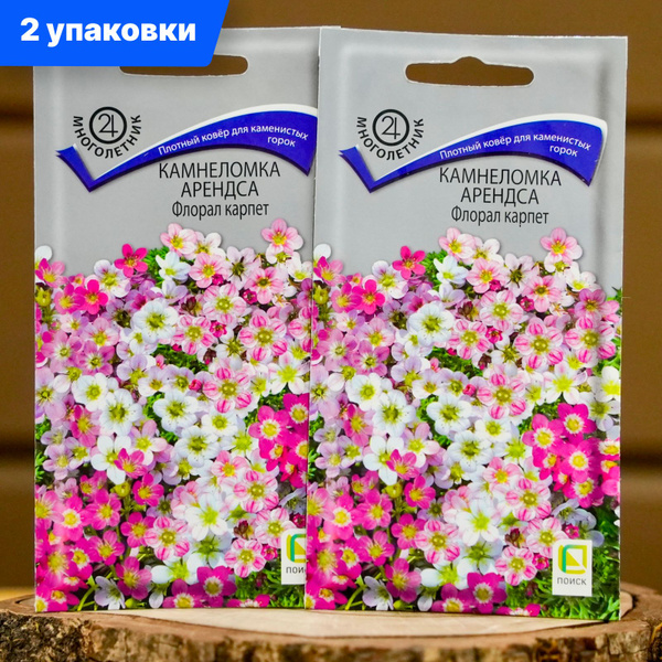 Характеристики Камнеломка многолетняя семена - 2 уп, сорт Арендса ...