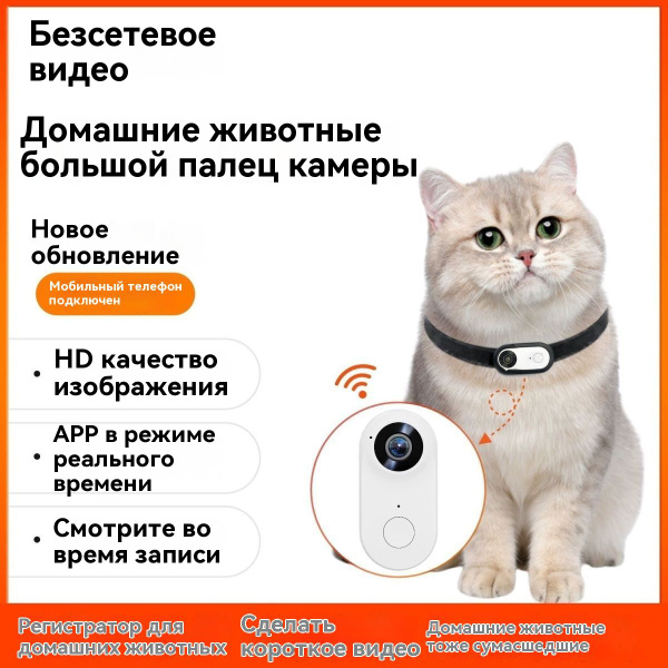 Видеоняня для животных - купить с доставкой по выгодным ценам в ...