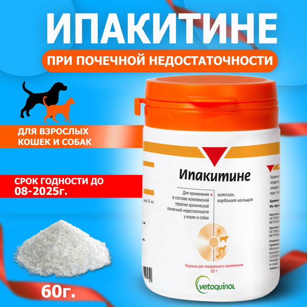 Ипакитине 60г. для собак и кошек купить на OZON по низкой цене (1633739804)