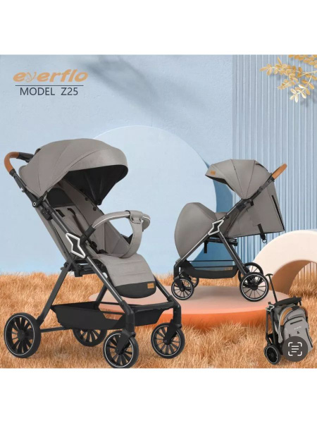 Коляска прогулочная Wingoffly eyerflo Z25, - купить с доставкой по ...